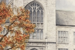 COMMISSIONS - Jennifer Olson Studios