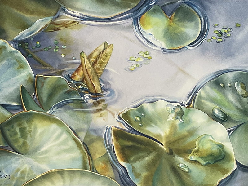 COMMISSIONS - Jennifer Olson Studios